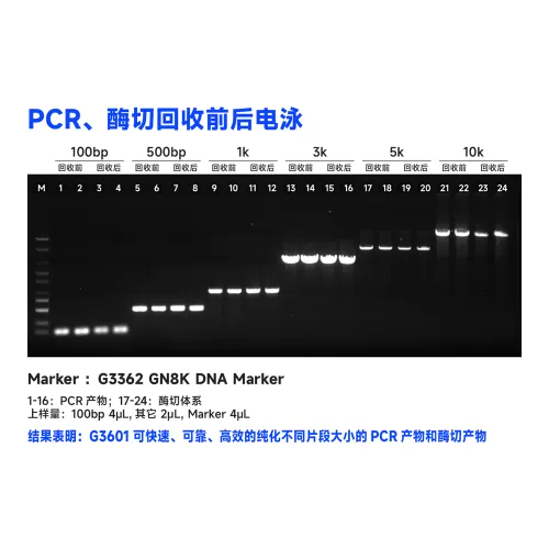 Purification,whole house water filter,dna purification,ampure xp beads
