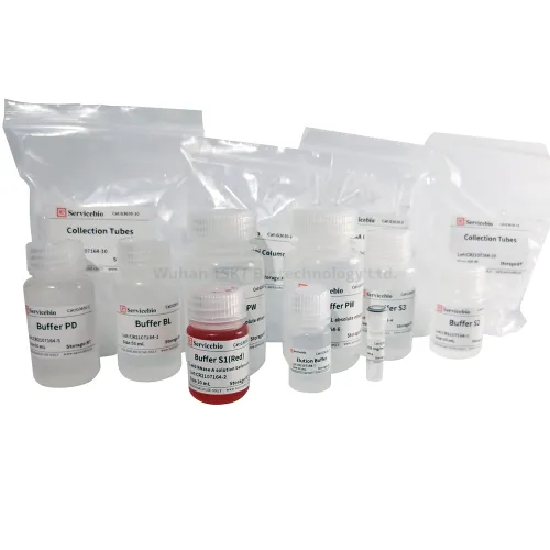 High Purity Plasmid DNA,miniprep,whole plasmid sequencing,plasmid dna