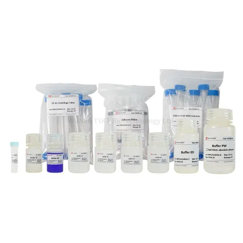 Plasmid,plasmidsaurus,plasmid dna，