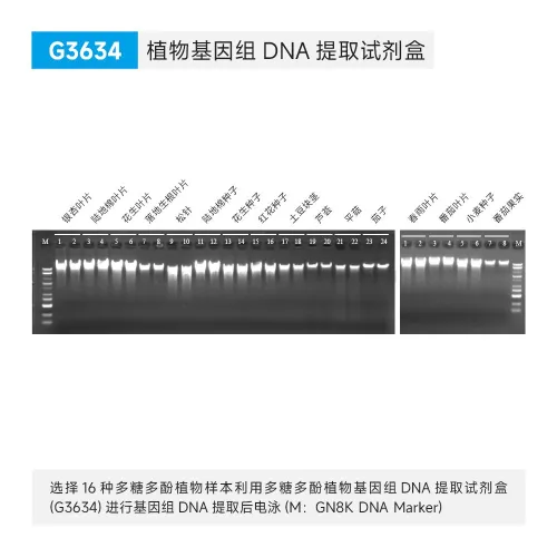 Plant Genomic,genomic,genome link,genome medicine