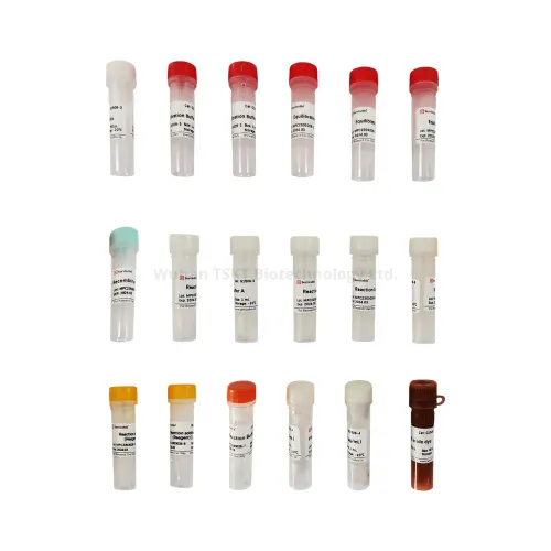 Cell Apoptosis Detection Kit,annexin v assay,annexin v fitc,annexin v ...