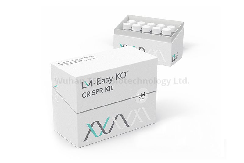 USP47 CRISPR Easy KO Kit