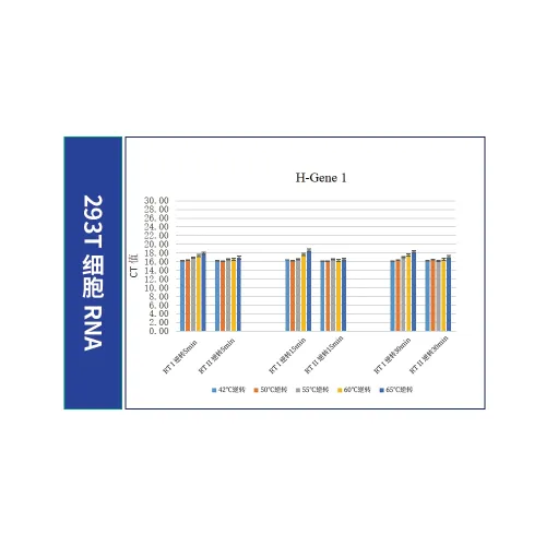 SweScript RT I First Strand cDNA Synthesis Kit
