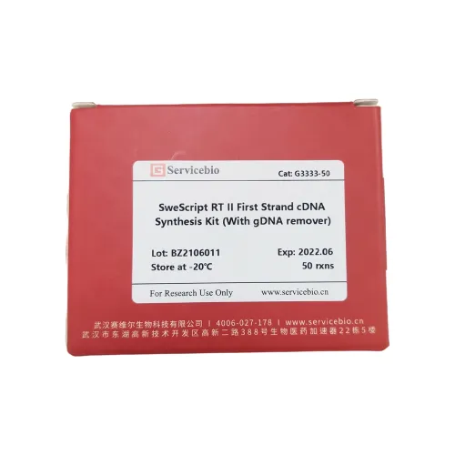 dna kit,ancestry dna kit,dna test kit