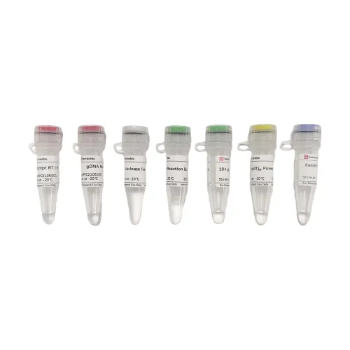 SweScript RT I First Strand cDNA Synthesis Kit