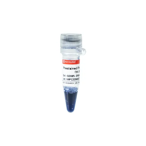 Prestained Protein Marker VI Wholesale