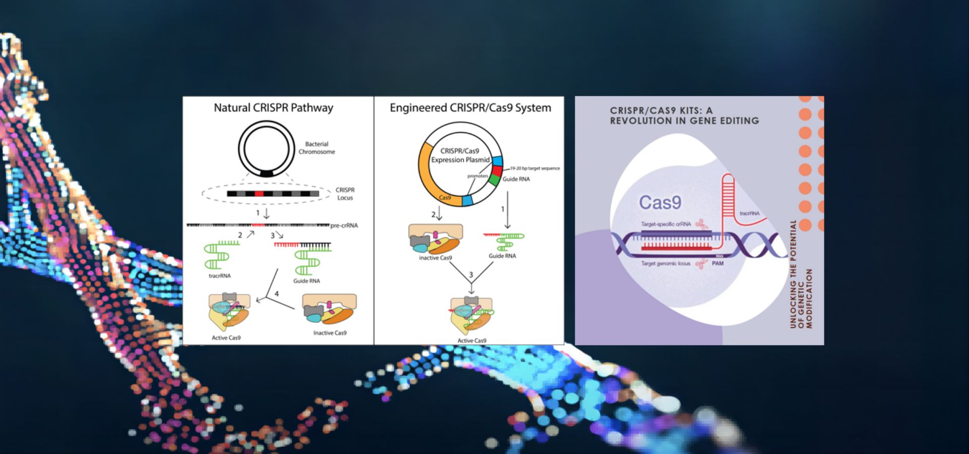 High-Quality Laboratory Instruments | TSKT Biotech - PCR, Molecular ...