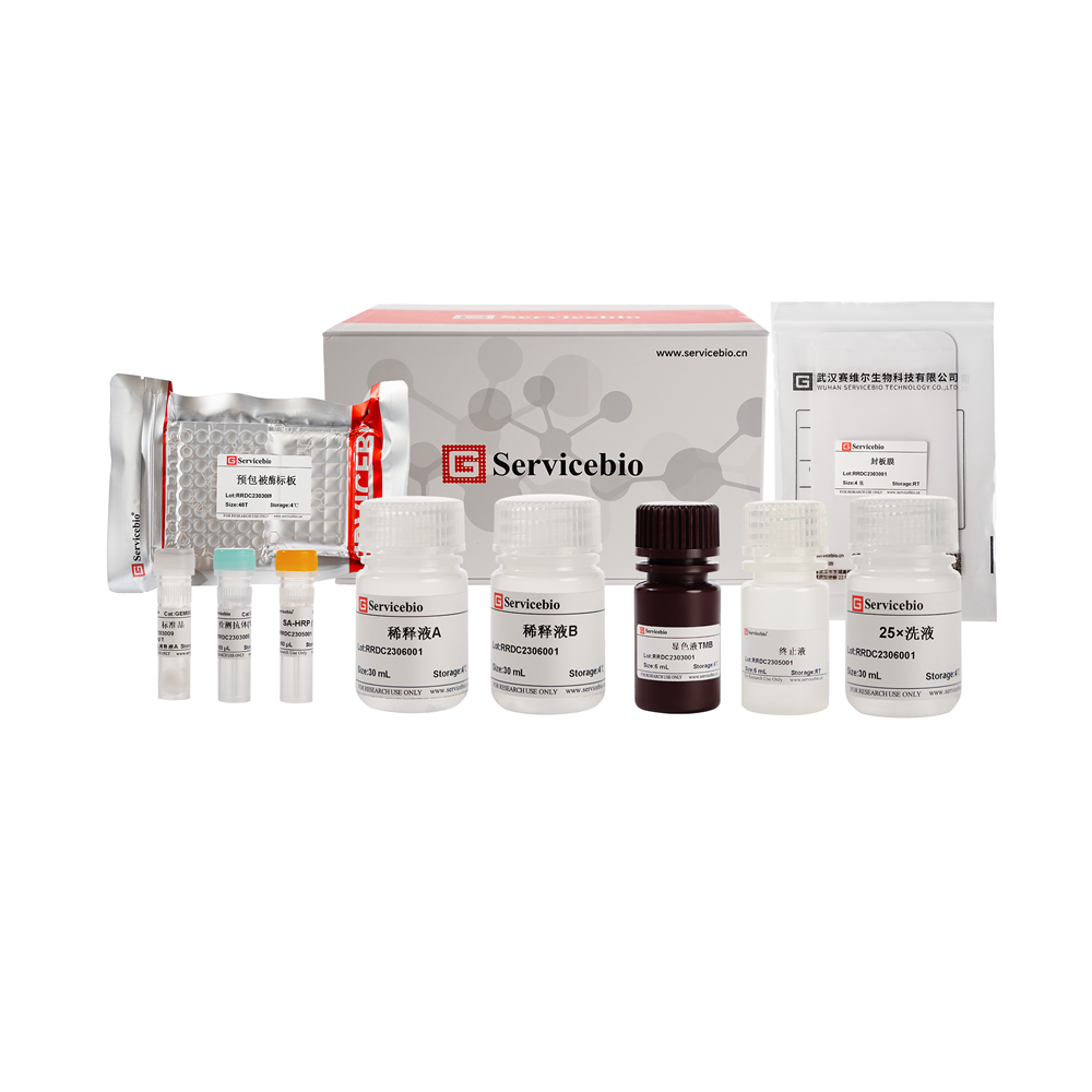 elisa kit,elisa,elisa kits,elisa assay,multiplex elisa