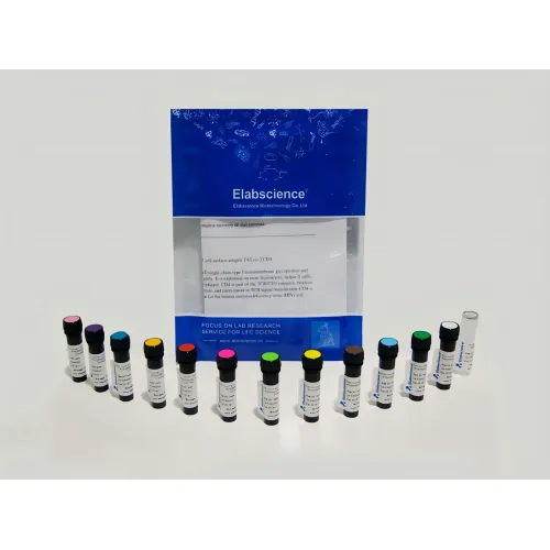 counting kit,cck8,cck 8 assay
