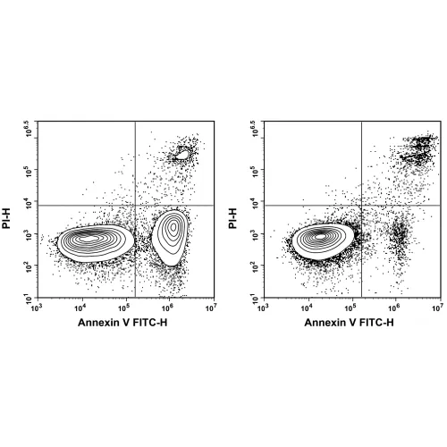 Annexin V-FITC/PI Apoptosis Kit