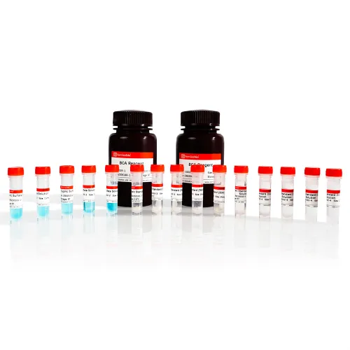 mold detection kit,at home mold test,mold air test kit