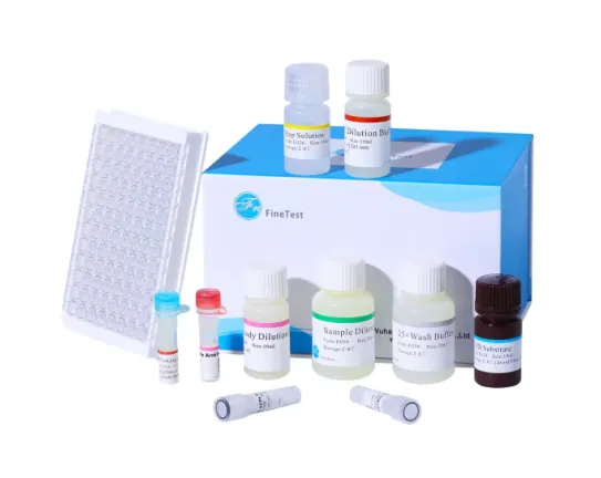 High-Quality Molecular Biology Kits | Nucleic Acid Extraction, PCR, NGS ...