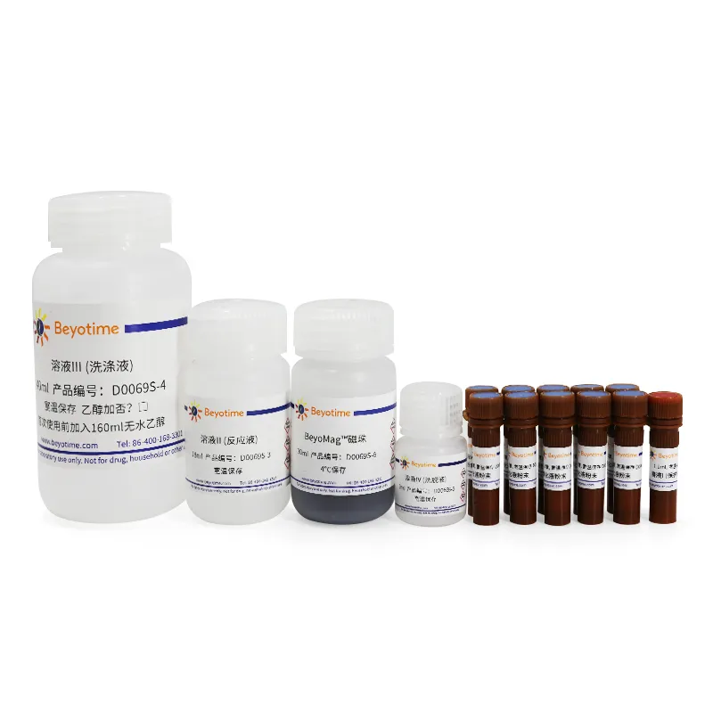 Top Applications of DNA Methylation Analysis Kits in Epigenetics
