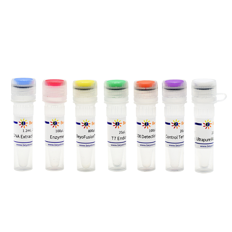 Automated vs Manual Cloning & Transformation Kits: Which One Suits Your ...