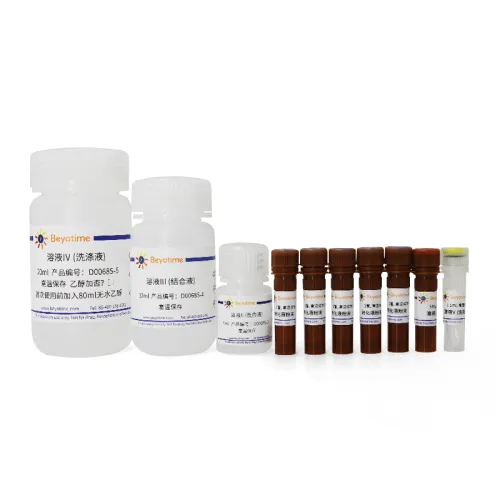 High-Quality Molecular Biology Kits | Nucleic Acid Extraction, PCR, NGS ...