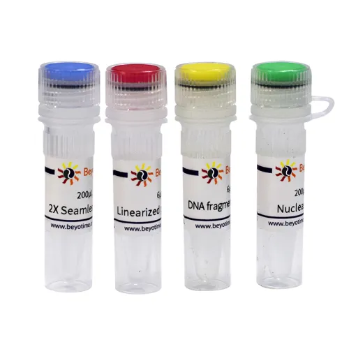 cloning kit,topo cloning kit,gibson assembly kit