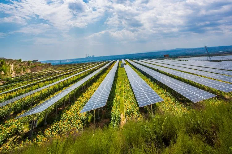Agri-voltaic Solutions
