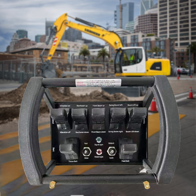 Customized Wireless Remote Control System