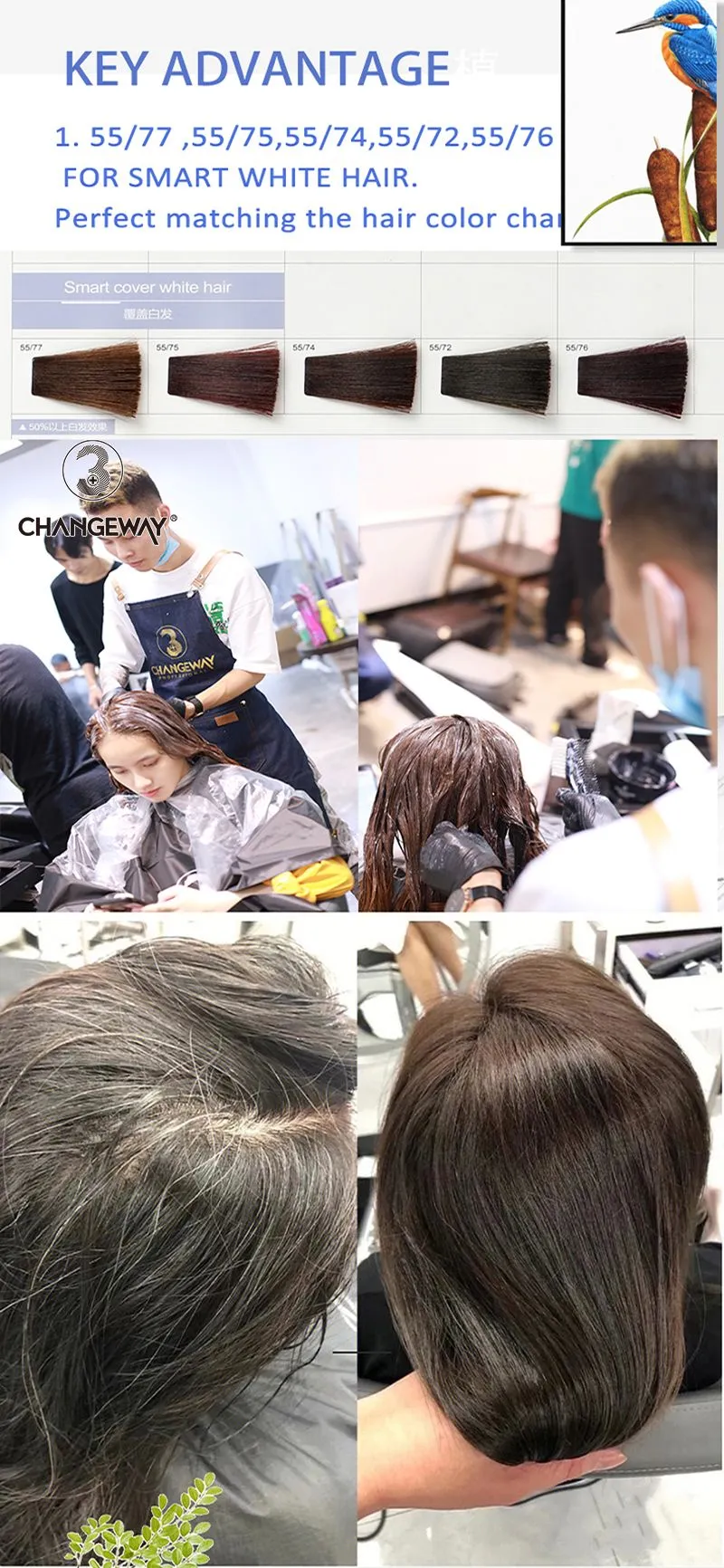 Cestvie Hair Dye Hair Color