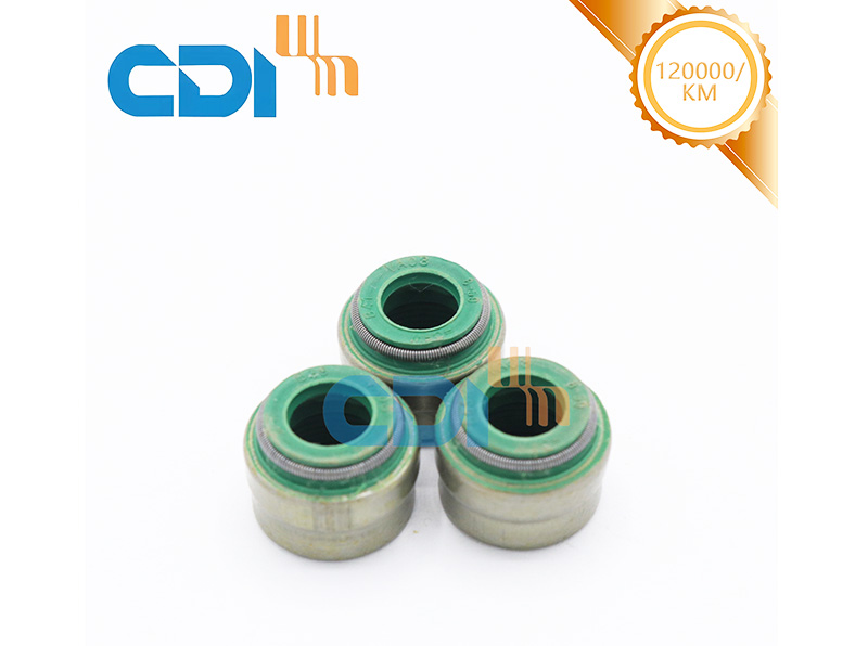 Valve Stem Seal Kit 20864662 For Volvo Engine D13 OEM#20864662