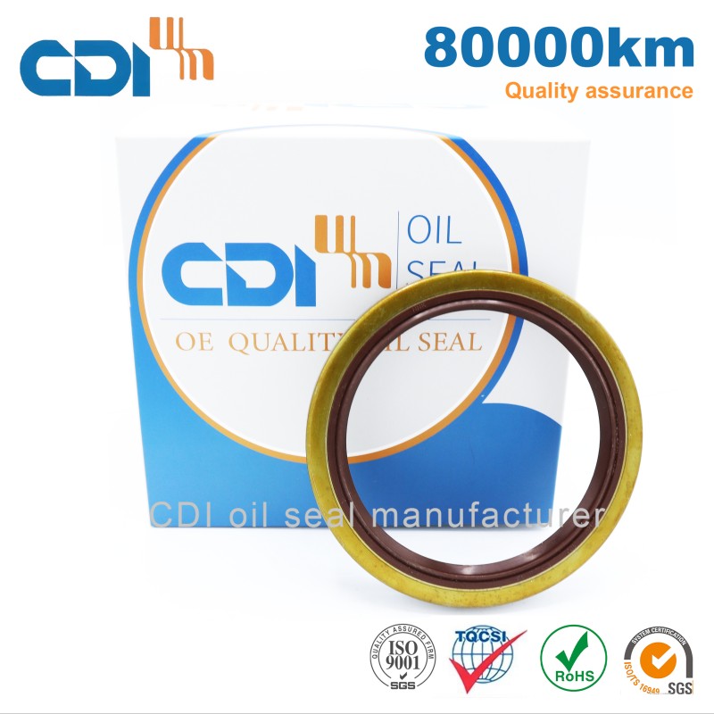 CDI 100 x 125 x 13 Radial Shaft Seal Auto Oil Seal Auto Spare Seal