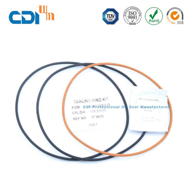 130.18 Cylinder Seal Ring Oring 17 4670 Sealing Ring Kit