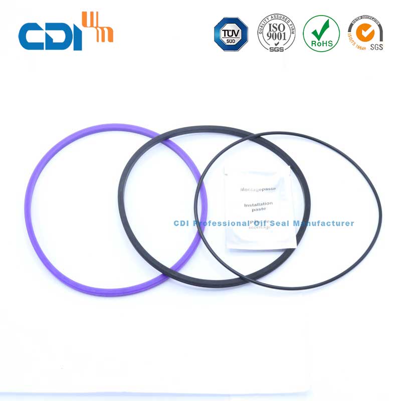 04 4520 Sealing Ring Kit Oring FKM Rubber