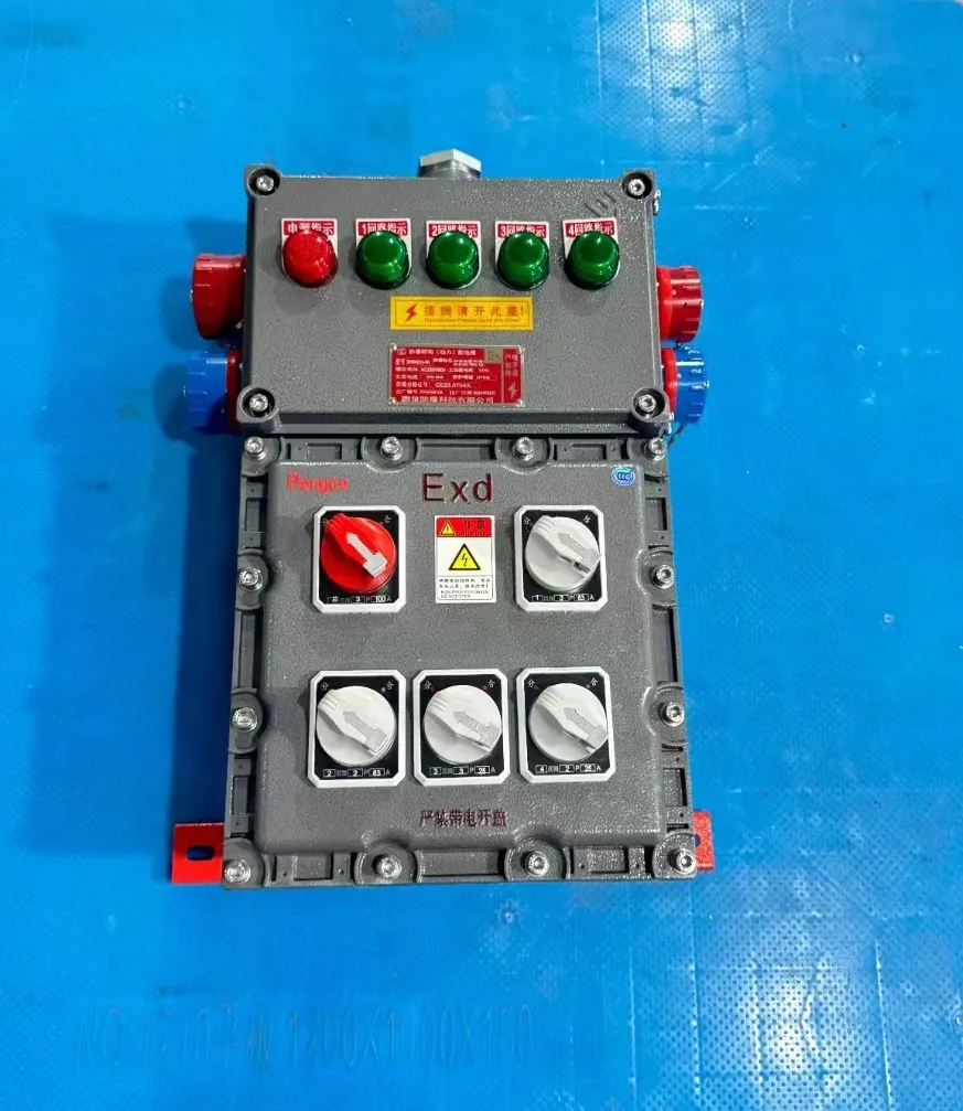 Explosion-proof control box IIB IIC ExtD Manufacturers&Suppliers ...