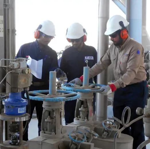 【Saudi Arabia】Pump for hydroelectric engineering