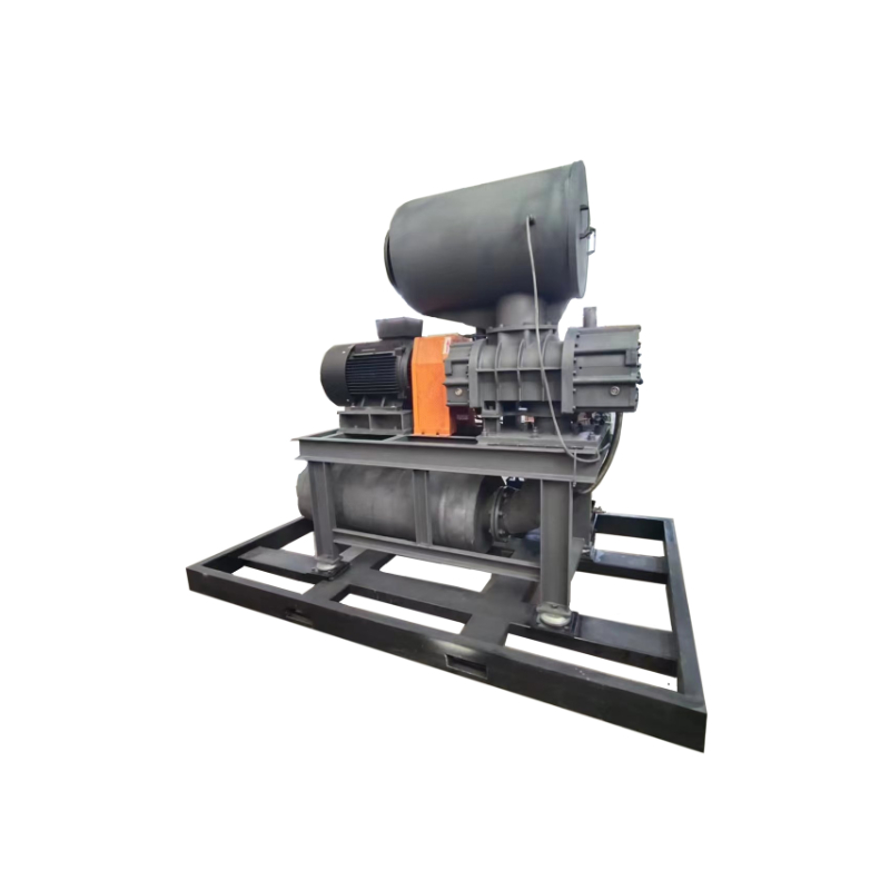 Twin Screw Blower, Twin Screw Roots Blower