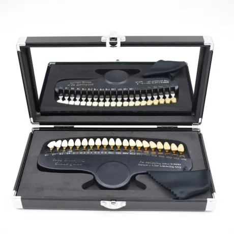 Dental Teeth Whitening Color Palette 20 Colors