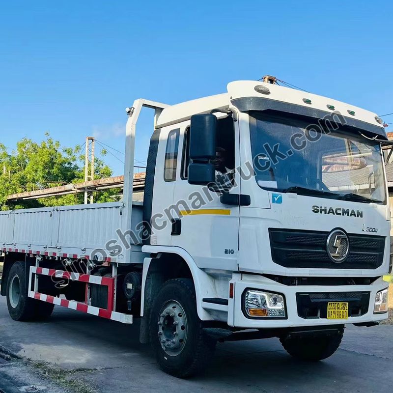 SHACMAN L3000 4X2 Lorry Truck