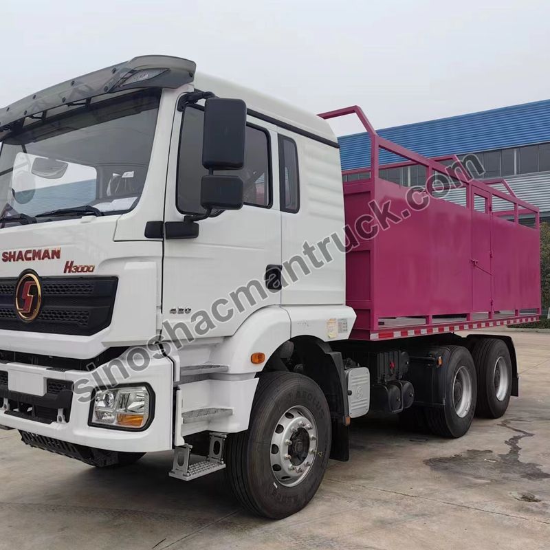 SHACMAN F3000 Lorry Truck