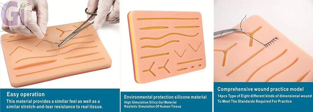 Suture Practice Pad Supplier,suture pad