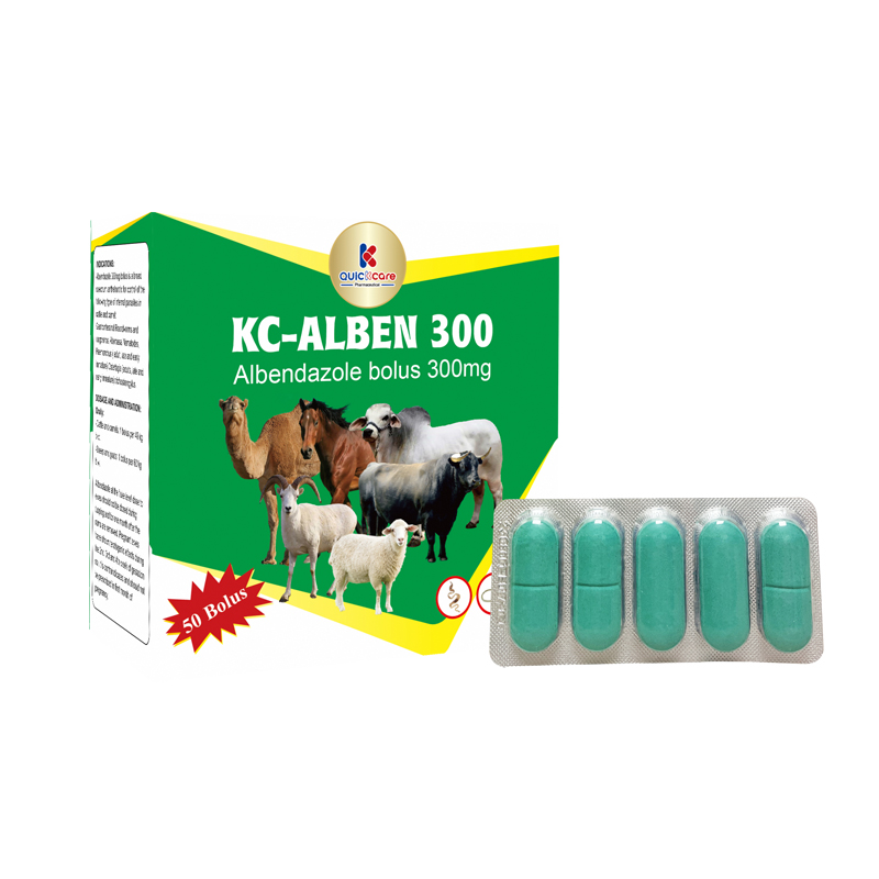 ALBENDAZOLE TABLETS 300MG QUICKCARE PHARMA