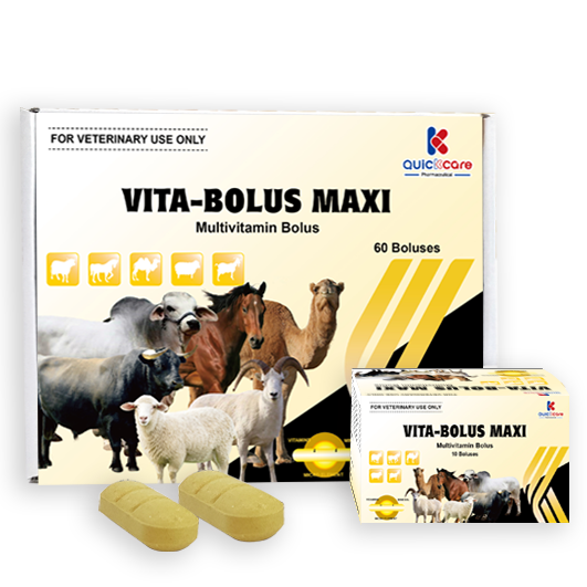 MULTIVITAMIN BOLUS MAX BY QUICKCARE