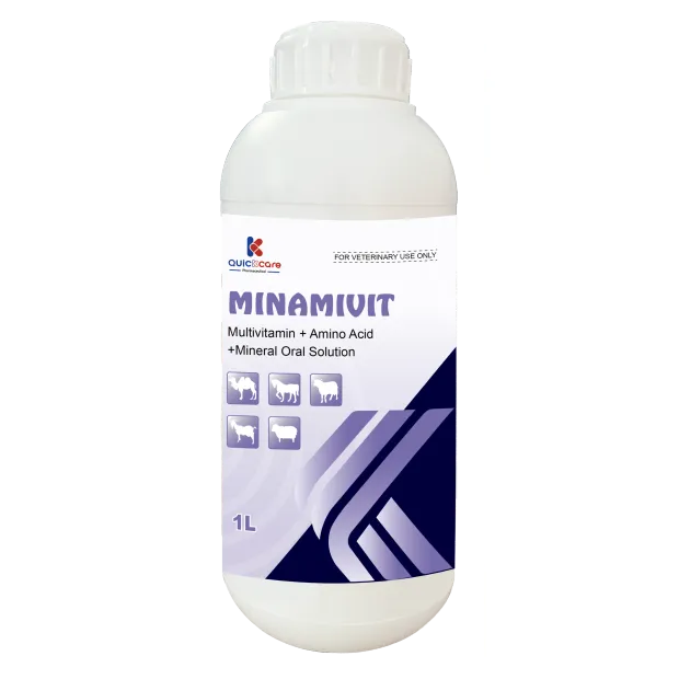 MULTIVITAMIN + AMINO + MINERAL ORAL SOLUTION