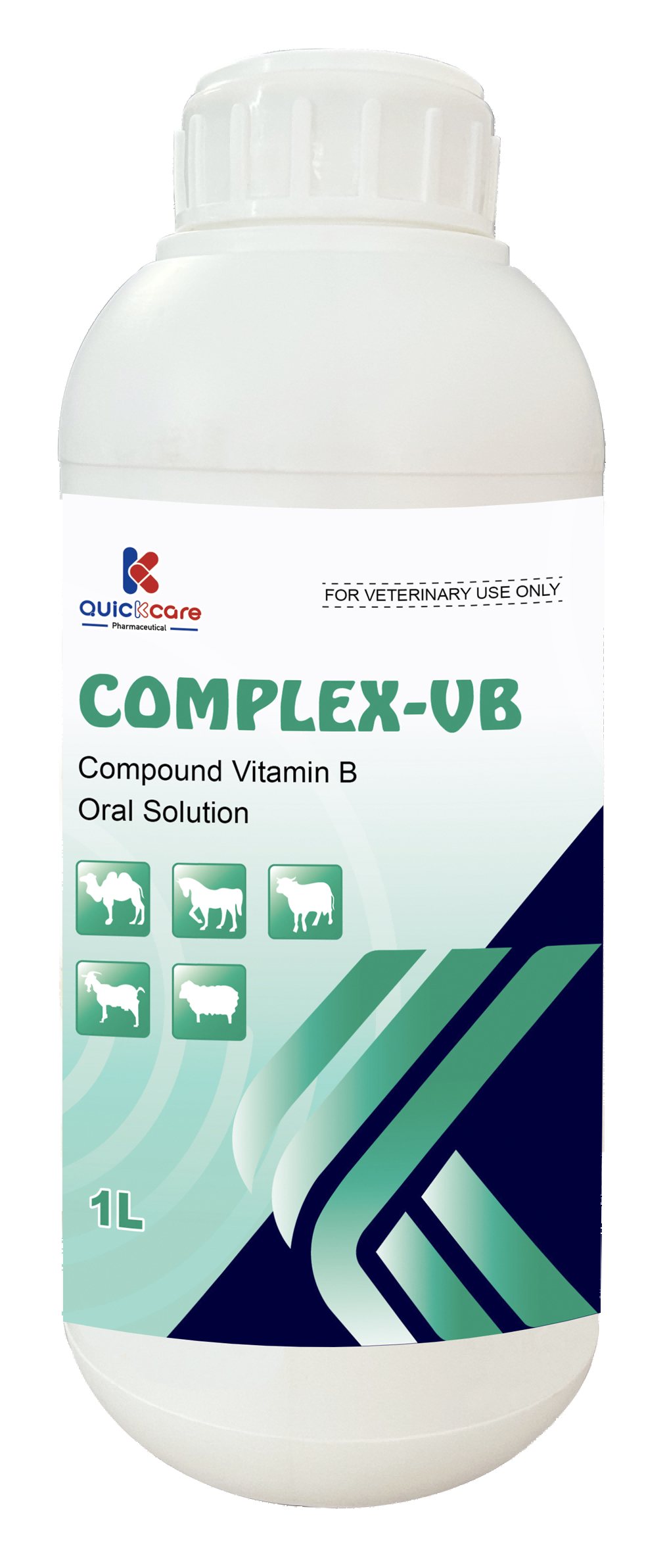 COMPOUND VITAMIN B ORAL SOLUTION