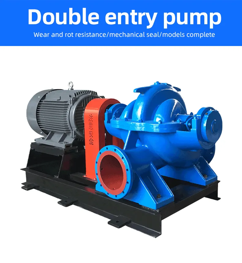 double suction centrifugal pump,double centrifugal pump,Double suction pump