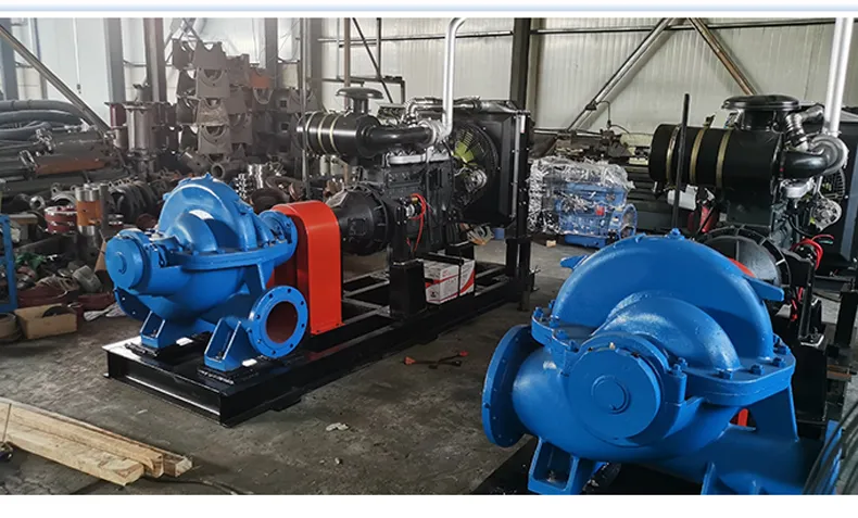 double suction centrifugal pump,double centrifugal pump,Double suction pump