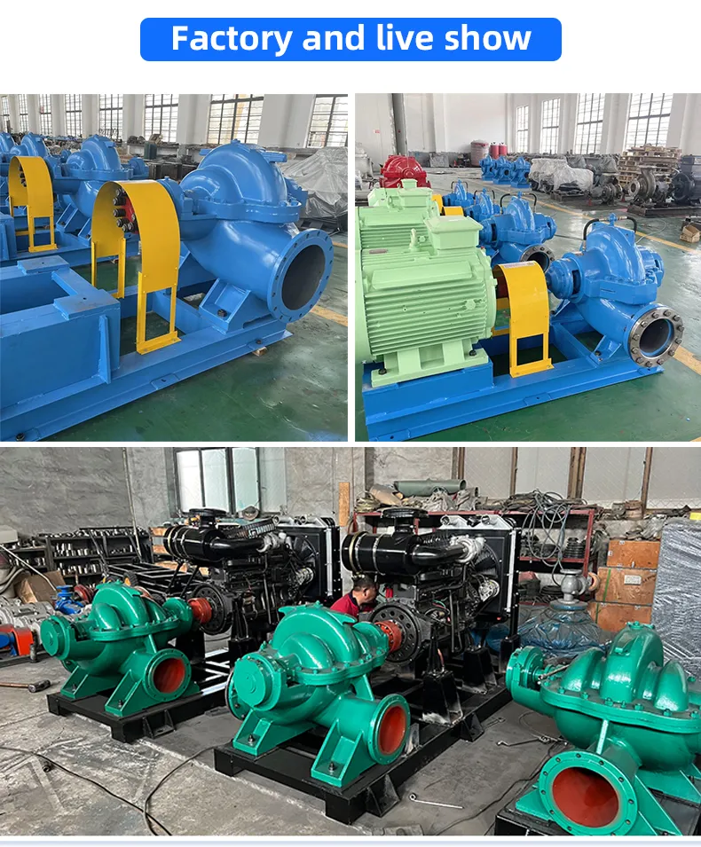 double suction centrifugal pump,double centrifugal pump,Double suction pump