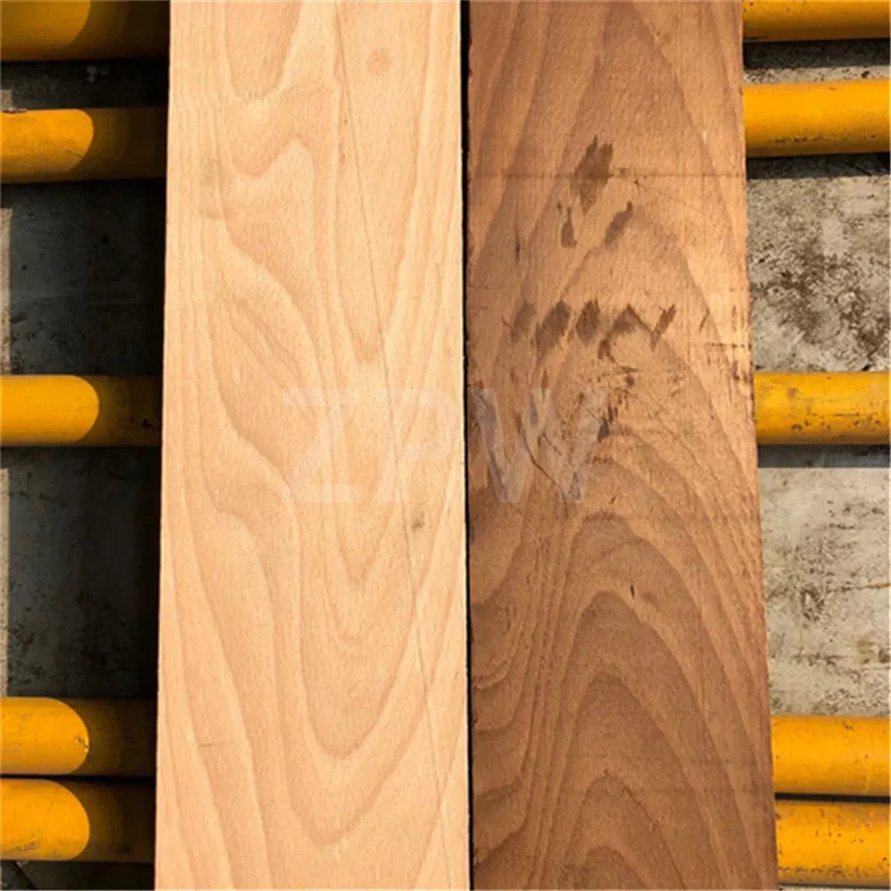 High-Temperature Wood Carbonization Kiln for Rubber Timber Heat Treatment