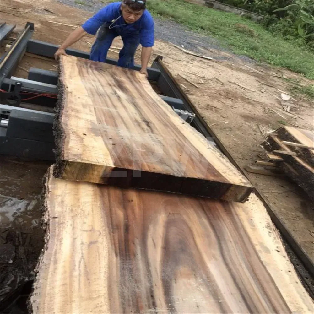 Portable Sawmill Diesel Wood Cutting Horizontal Bandsaw