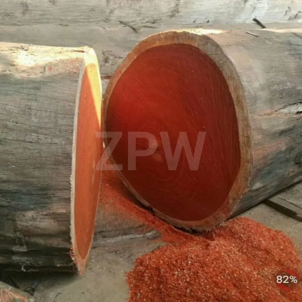 High-Performance Chainsaw for Efficient Cross Cutting – Quality Cutting ...