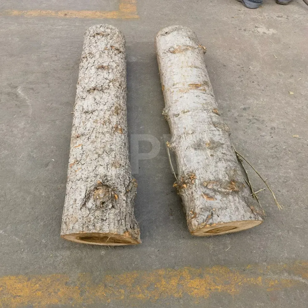Efficient Wood Peeling Machine: Top Log Debarker for Quality Timber ...