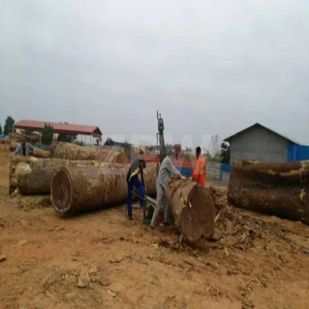 High-Performance Chainsaw for Efficient Cross Cutting – Quality Cutting ...