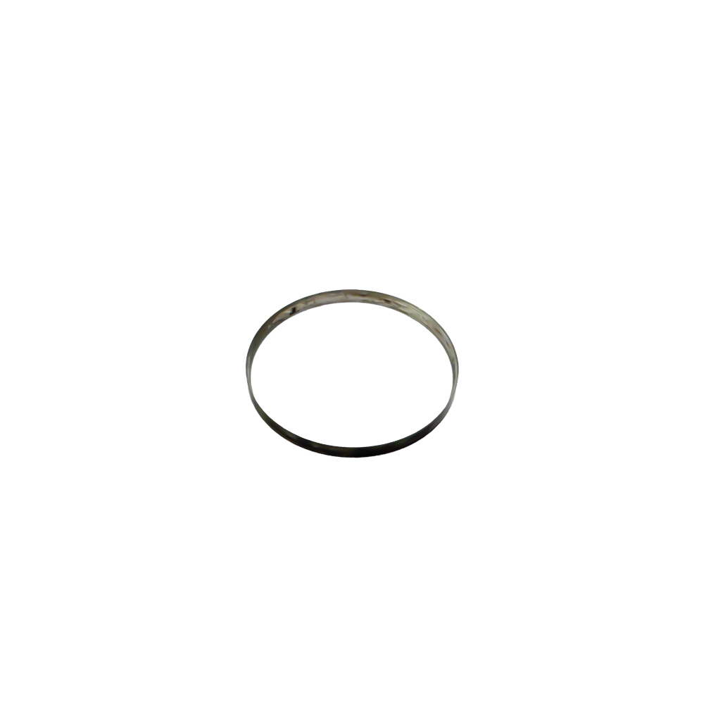 100054-3 Seal Hoop