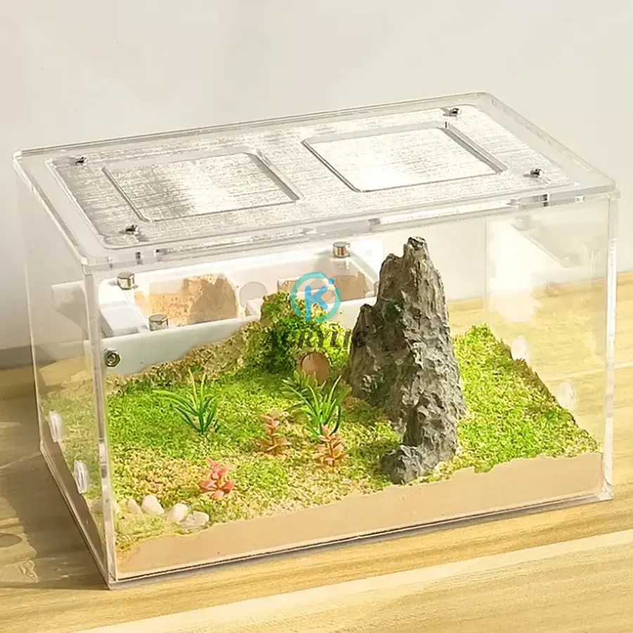 Transparent Acrylic Reptile Lizard Terrarium Cage Ant Feeding Box with ...