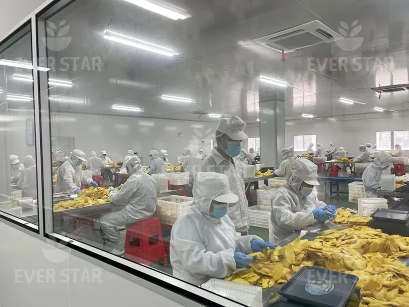 Dried Mango slice,dehydrated mangoes