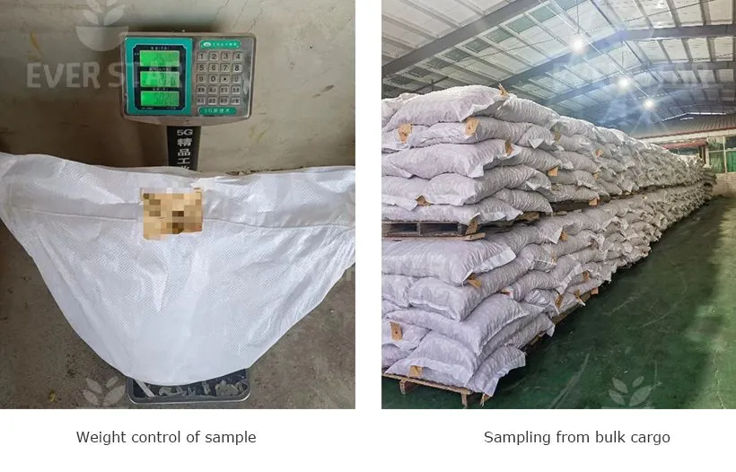 walnut in shell,unshelled walnuts,washed walnut